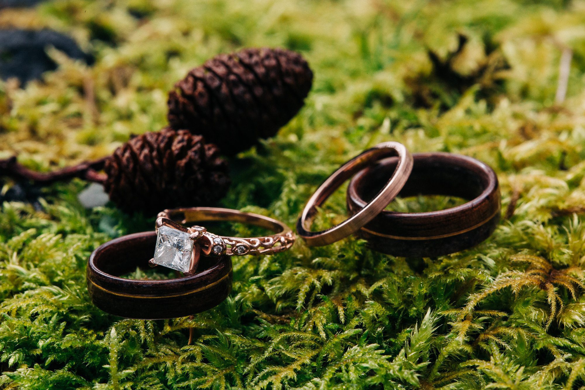Oregon Coast Destination Micro Wedding | Heidi and Kat | Amanda ...